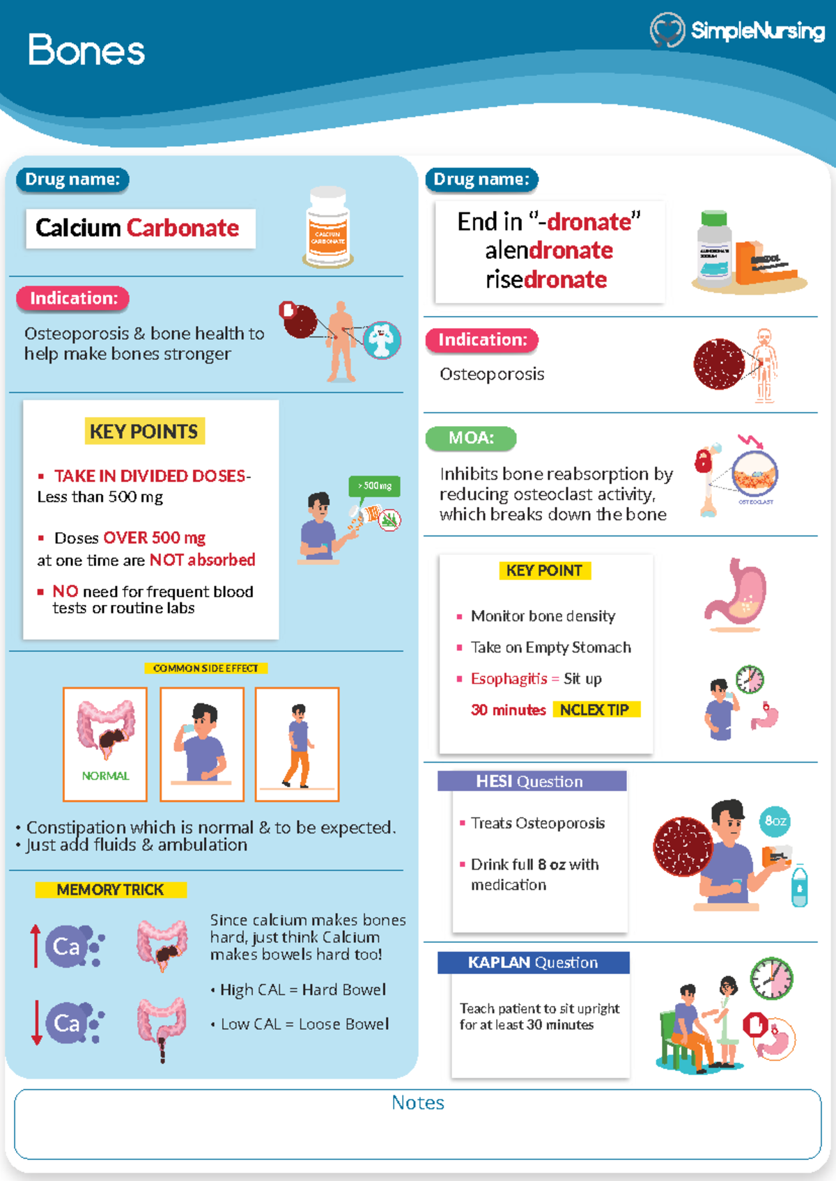 Musculoskeletal Pharmacology Cheat Sheet for Osteoporosis and Muscle ...
