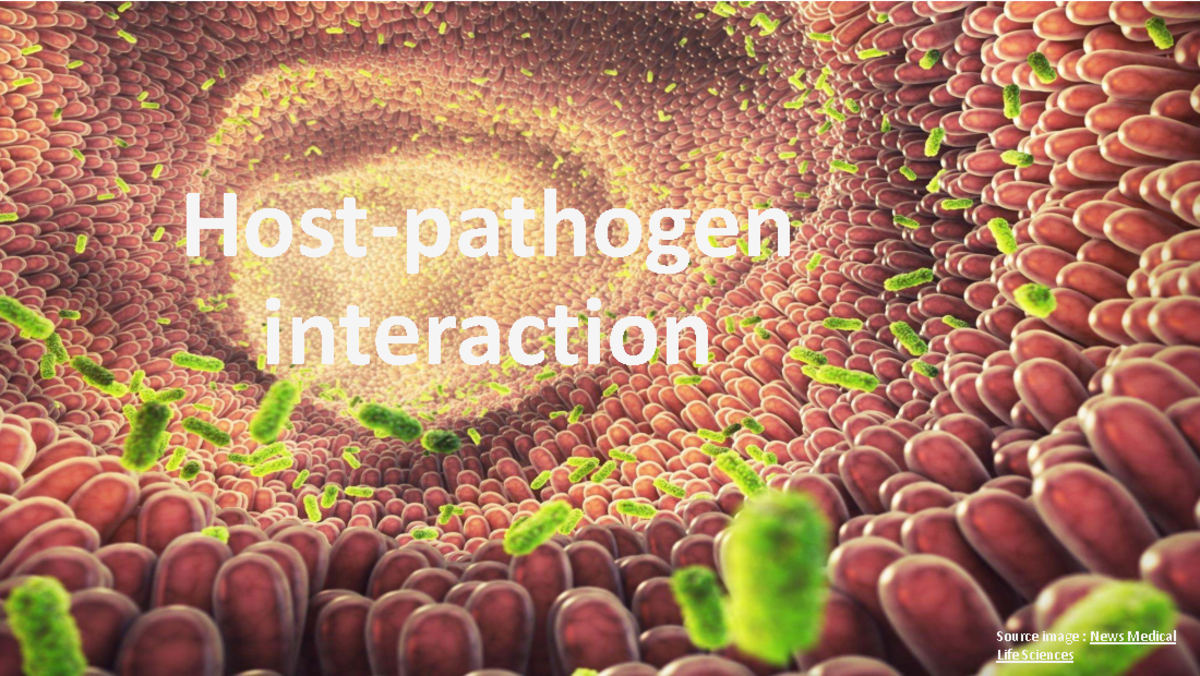 BIO3124 - Host-Pathogen Interaction: Overview of Human Microbiome - Studocu