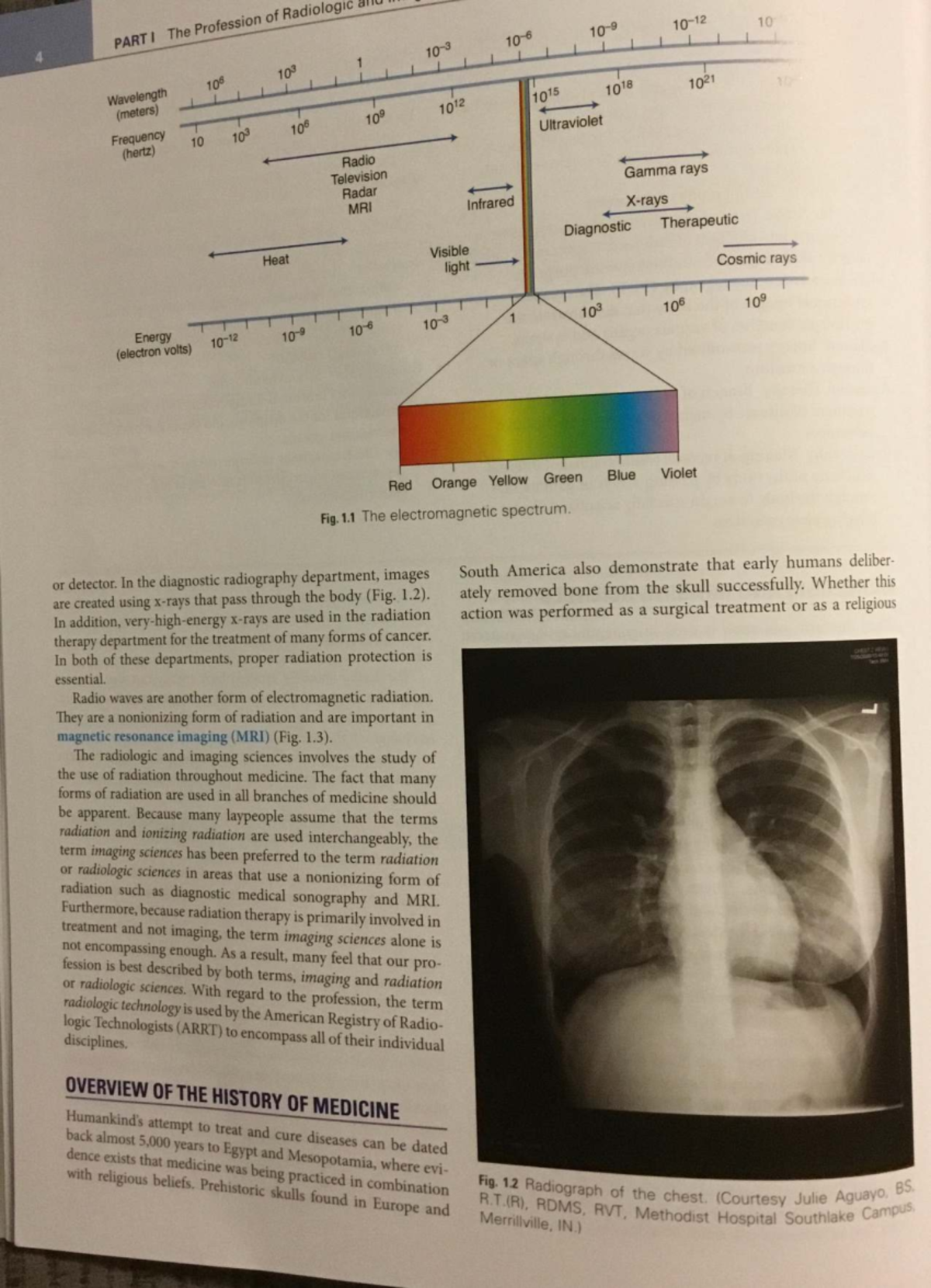 Midterm Exam Study Guide for ABC123: Radiologic Technology Overview ...