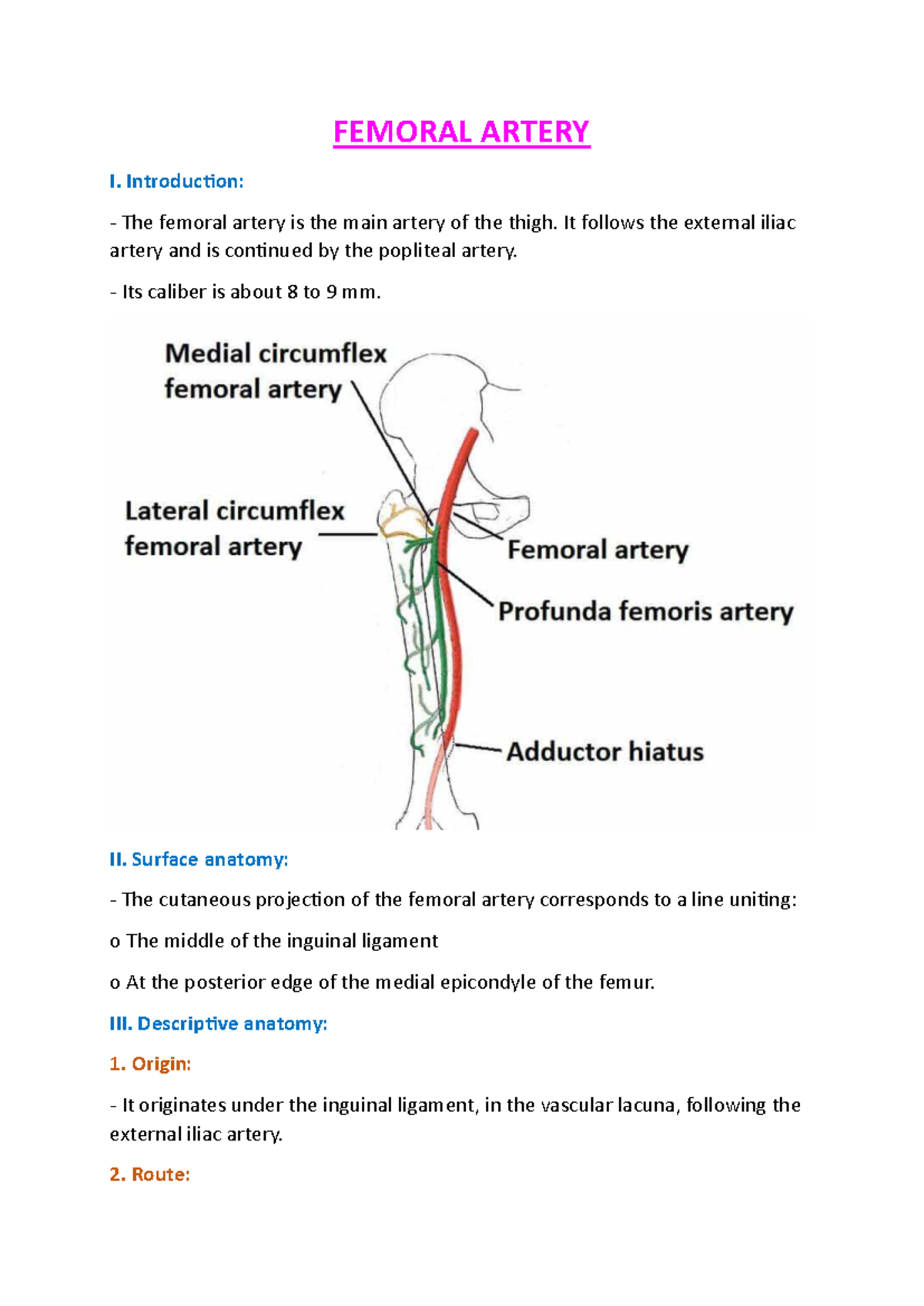 Easy Notes On Femoral Arterylearn In Just 4 Minutes Genicular Artery