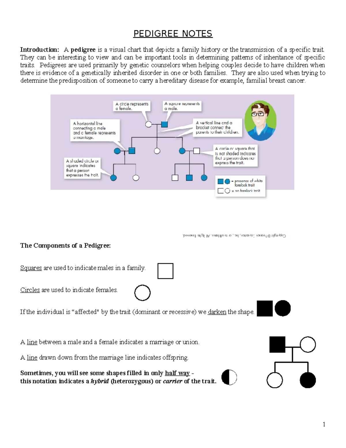 Pedigree Analysis Worksheet for Genetics Study - Studocu