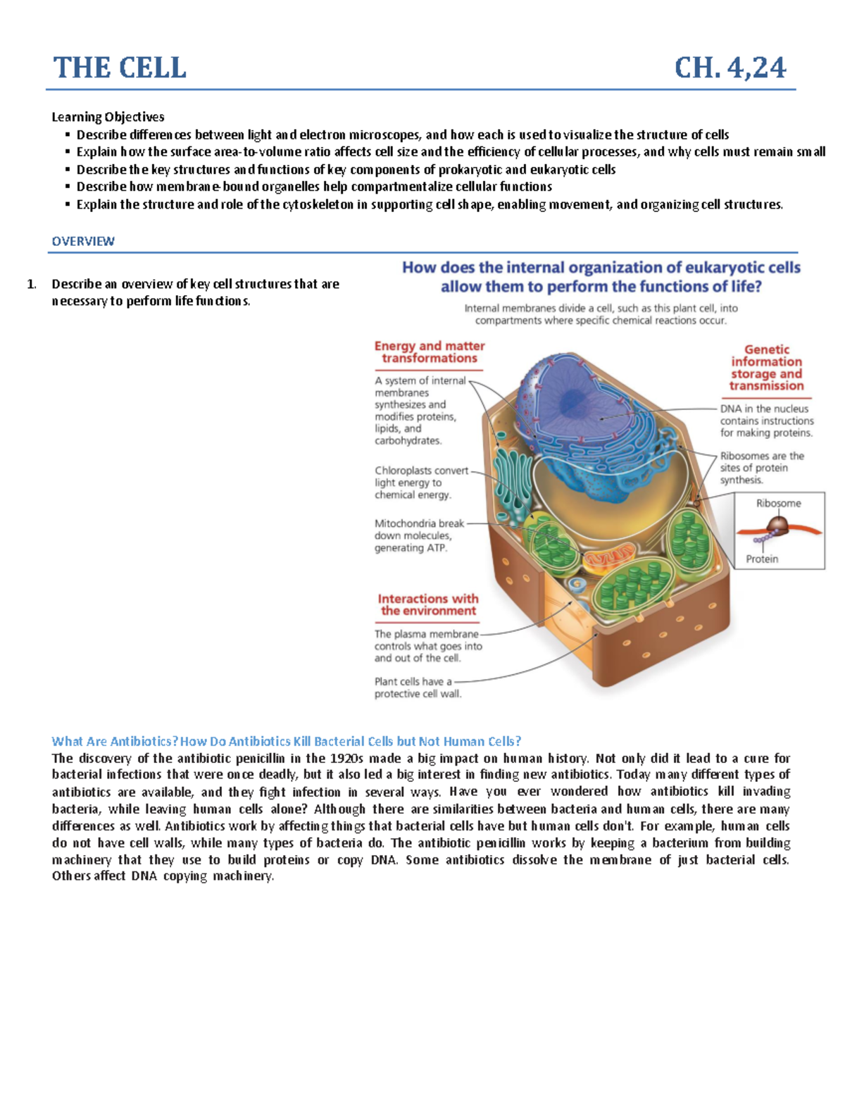 Cell Biology: Understanding Structures, Functions, and Microscopy (CH 4,24) - Studocu