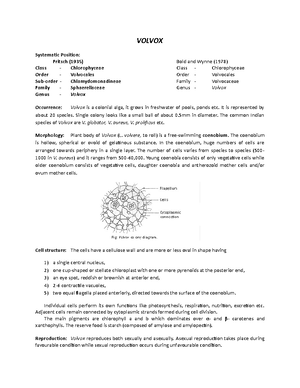Nostoc structure, reproduction and life cycle - STUDY OF STRUCTURE ...