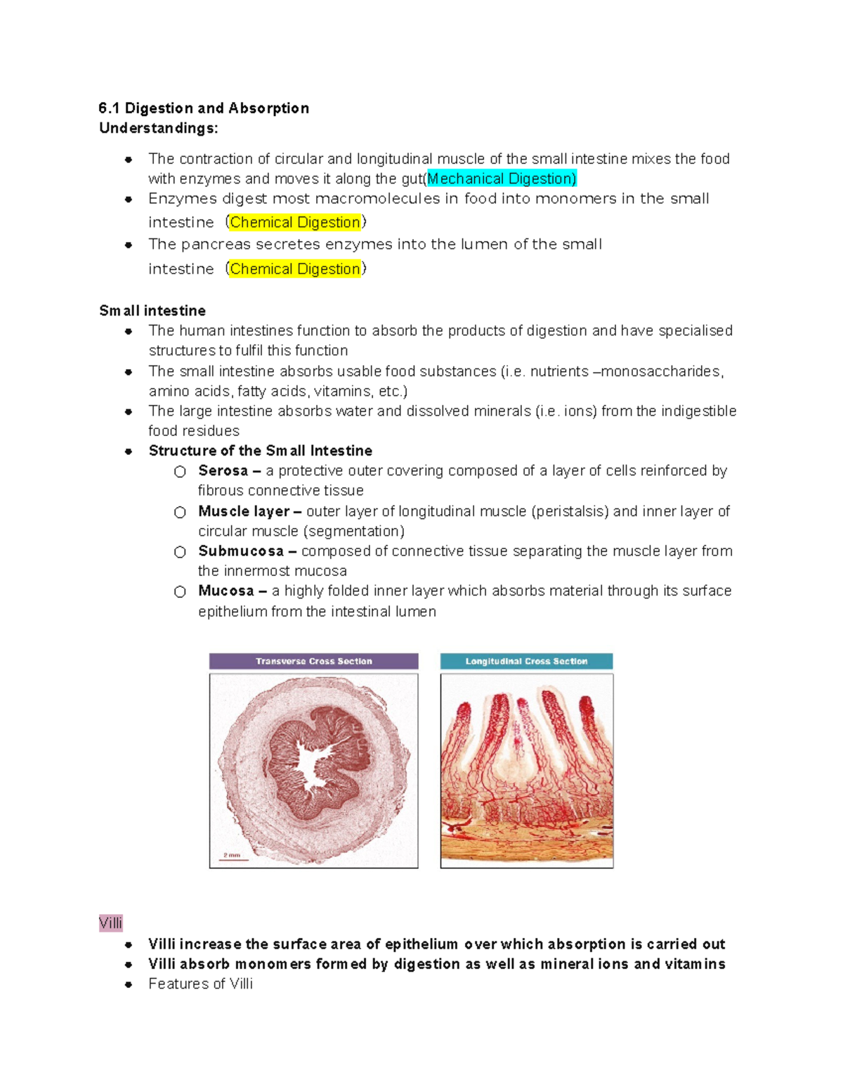 6.1 Final Exam Notes on Digestion and Absorption - Studocu