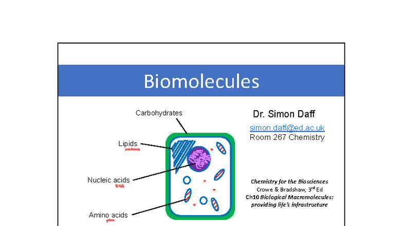 Biomolecules: Lecture Notes on Carbohydrates, Lipids & Nucleic Acids ...
