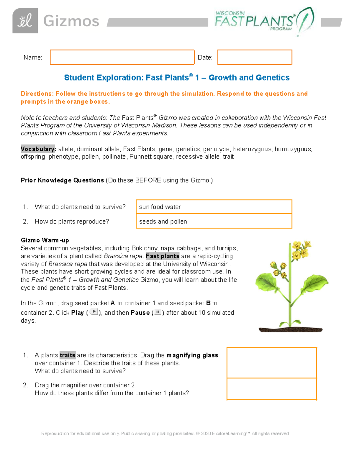 Fast Plants® Gizmo: Exploring Growth and Genetics in Class Experiment ...