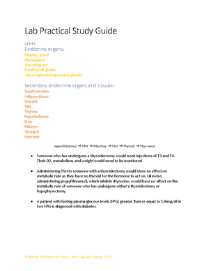 Muscular System - PDF study guides by Amy include charts, labeled ...