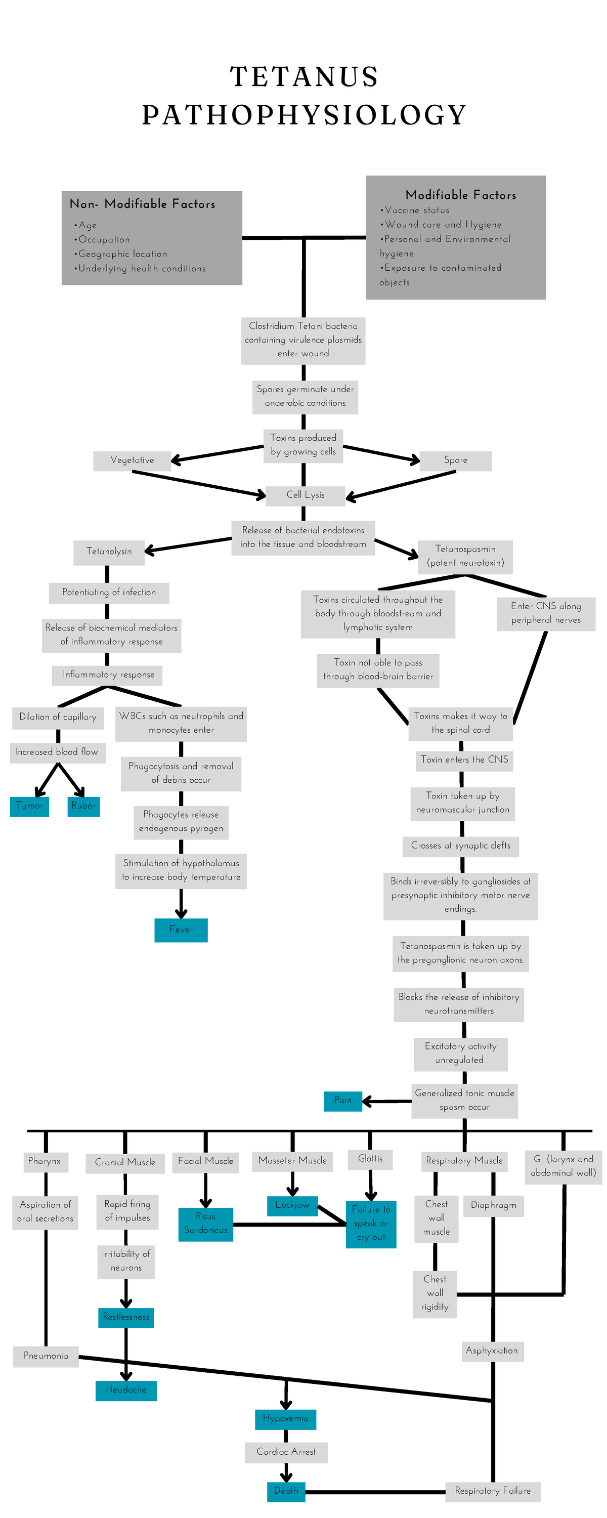 Tetanus pathophysiology - Non- Modifiable Factors Modifiable Factors ...