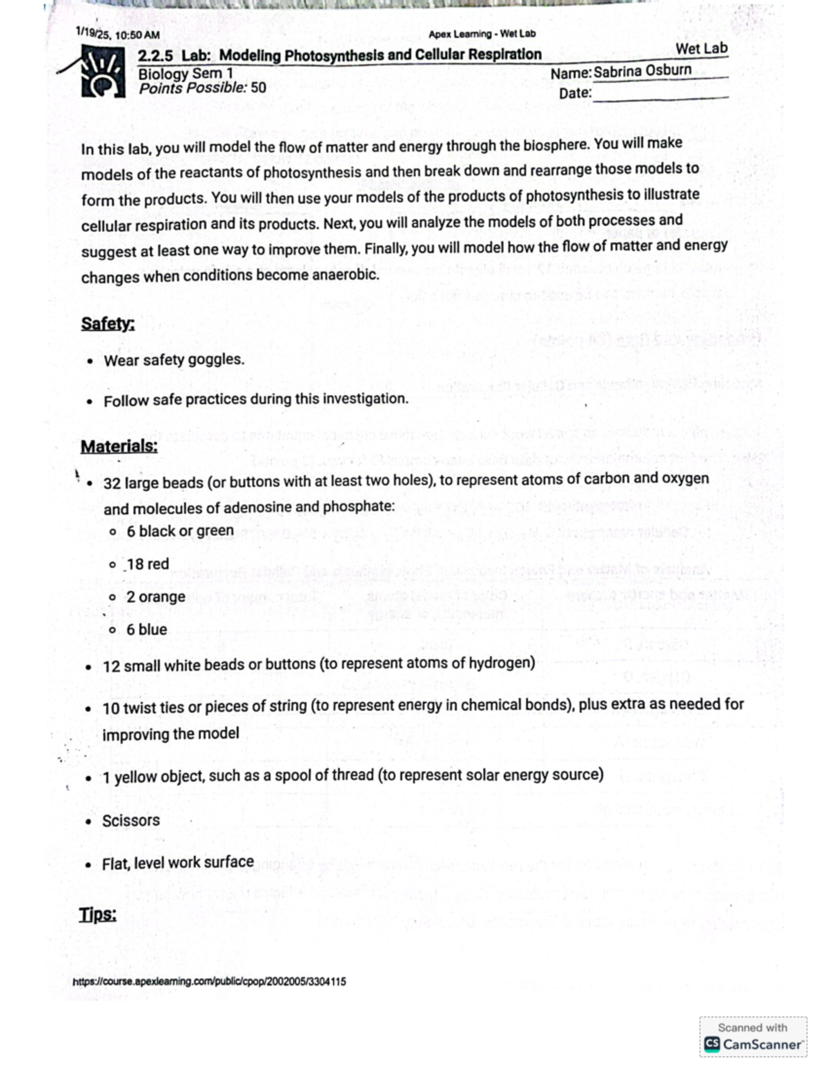 Biology Sem 1 Wet Lab: Modeling Photosynthesis & Cellular Respiration ...