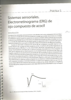 Tablas de Fisher - Tabla 5. VALORES F DE LA DISTRIBUCIÓN F DE FISHER 1 ...