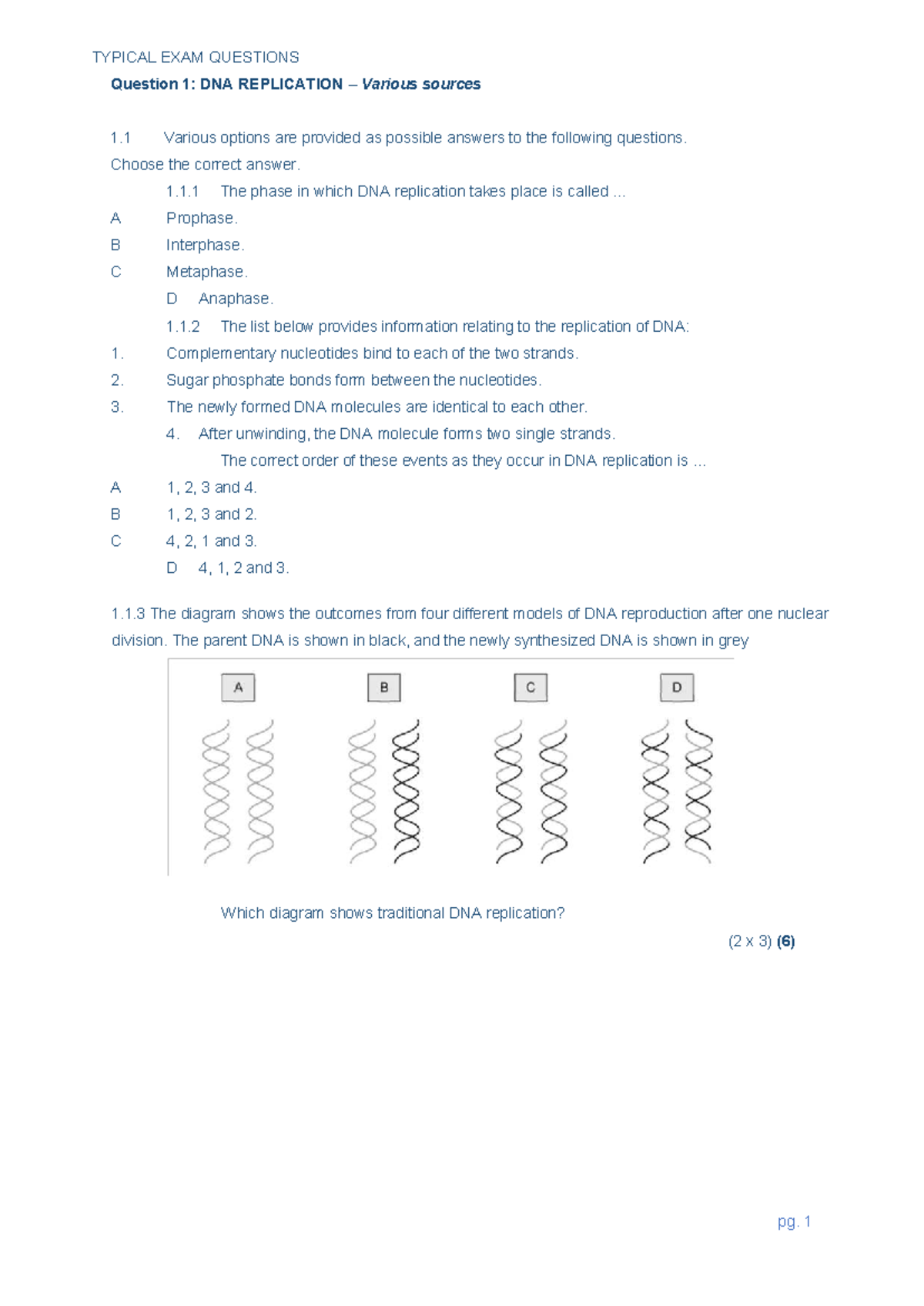 Typical Exam Questions: DNA Replication & Meiosis (Course Code: DBE ...