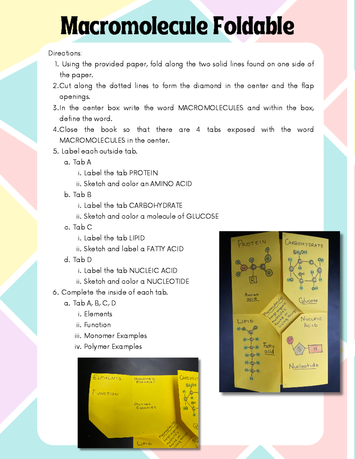 Macromolecules foldable - Using the provided paper, fold along the two ...