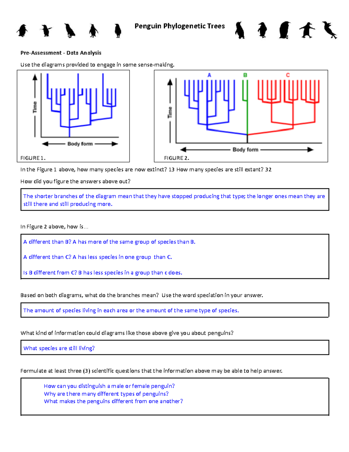 Penguin Phylogeny Analysis: Insights from Data and Diagrams - Studocu