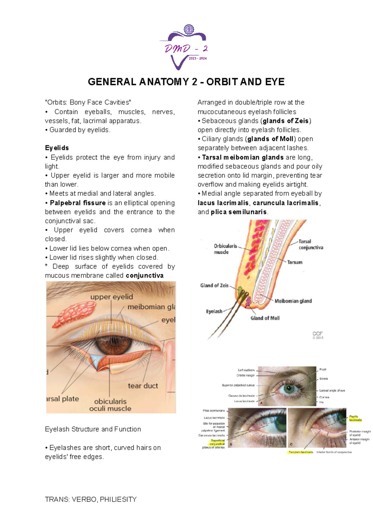 General Anatomy 2: Orbit and Eye Overview for Study - Studocu