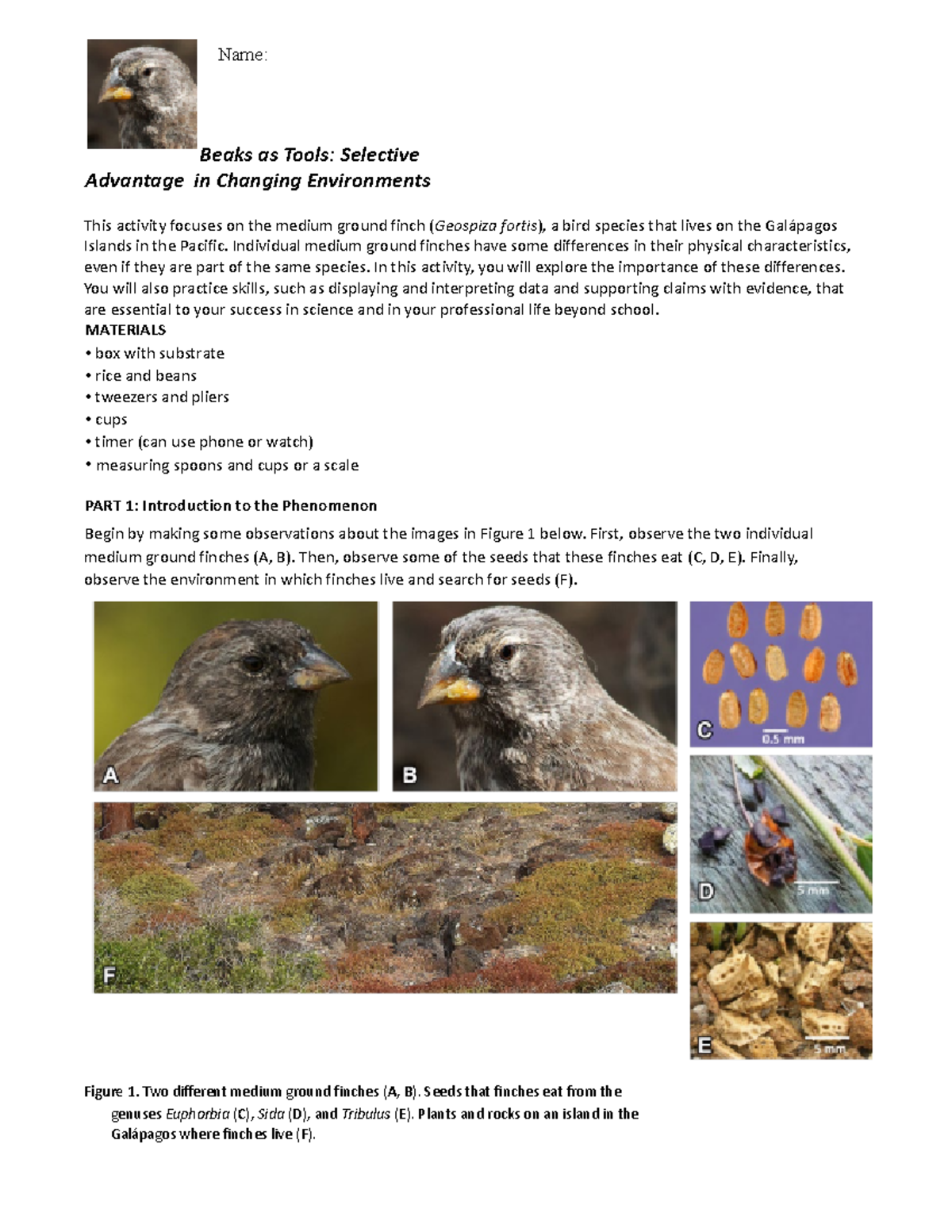 Beaks as Tools: Understanding Finch Adaptations in Changing ...