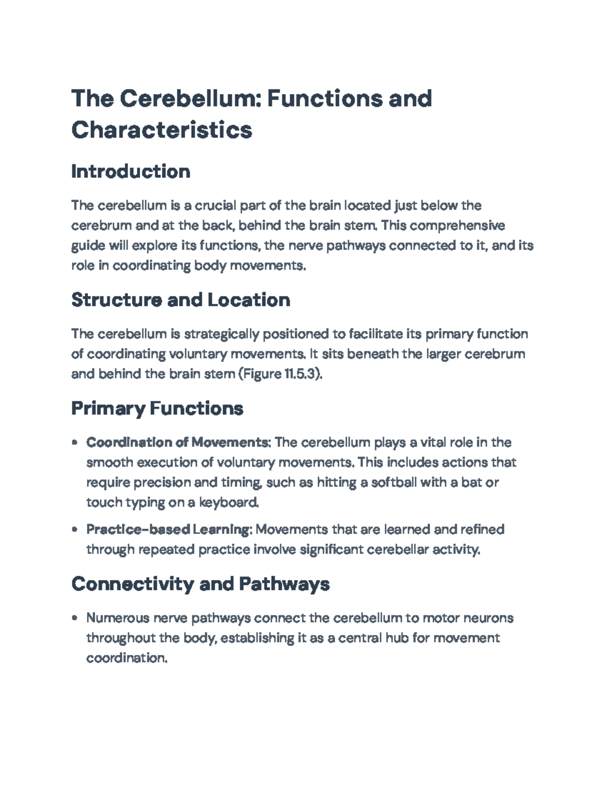 Cerebellum Functions & Characteristics: A Comprehensive Overview - The ...