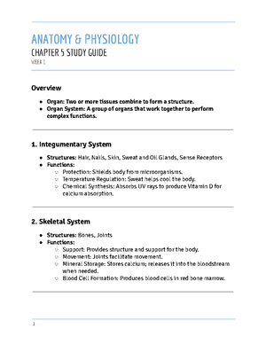 ANATOMY 101: Chapter 6 Study Guide on Skin and Membranes - ANATOMY ...