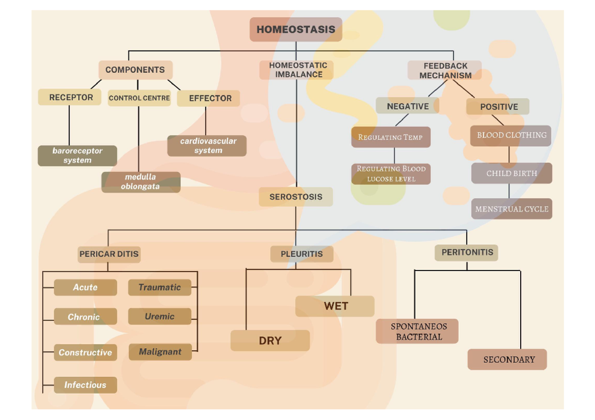 Homeostasis- Group-2 - ehjsjenzbwbzbe - Nursing - I COMPONENTS I ...