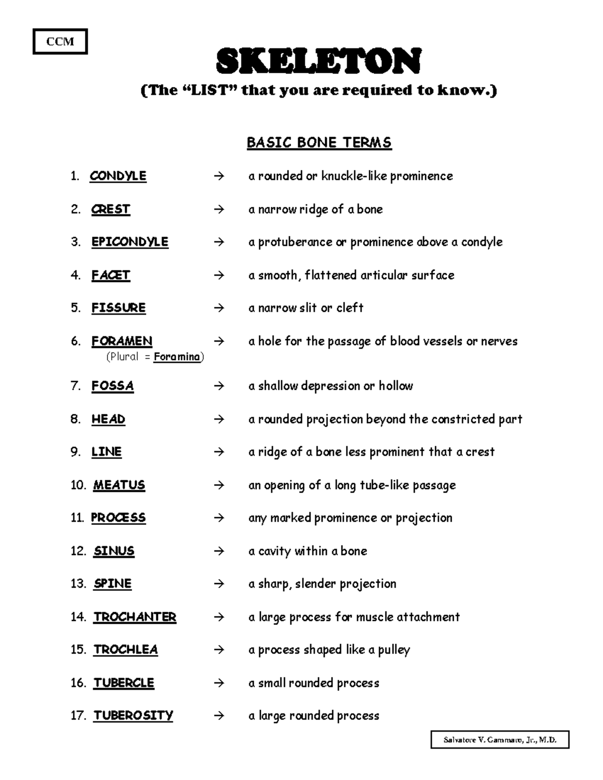 CCM(1) - Practical List for Bones: Key Terms & Axial Skeleton - Studocu