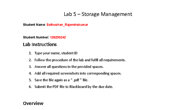 Lab 5: Storage Management Procedures for Windows Server 2022 - Studocu