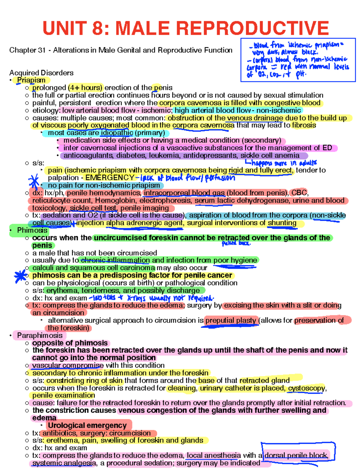Patho Exam IV Notes - Male Reproductive Disorders and Dysfunction - Studocu