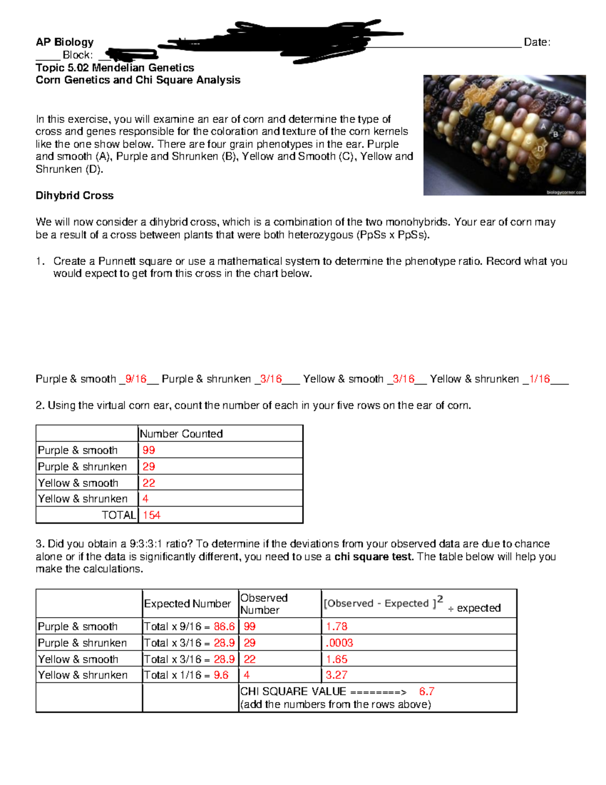 AP Bio 5.02 Lab: Chi Square Analysis Practice Problems - Studocu