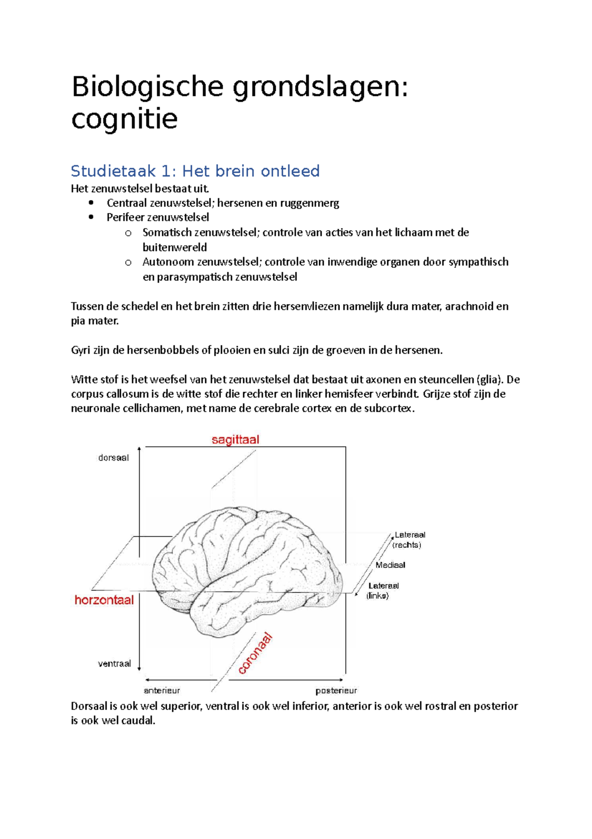 Cognitie Samenvatting: Biologische Grondslagen van het Brein (Cognitie ...