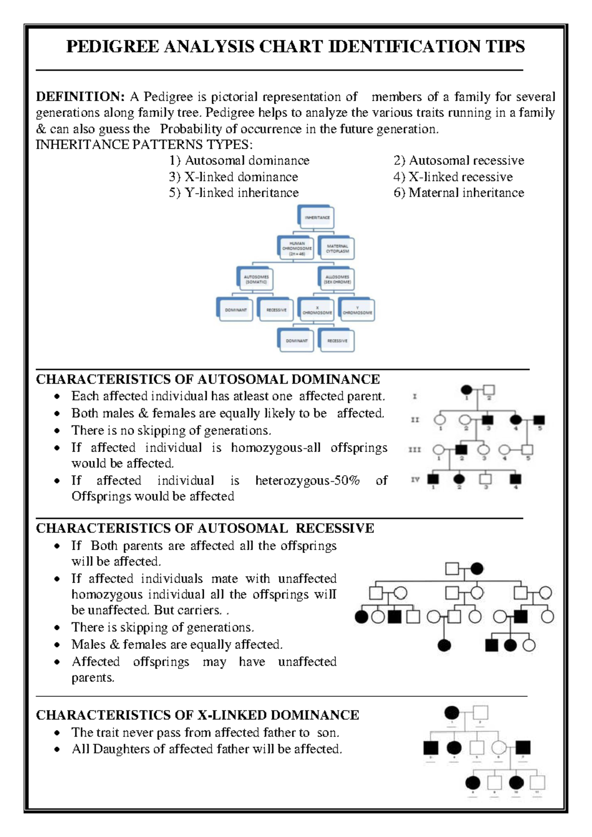 Class 12 Biology Chapter 4: Pedigree Analysis Tips & Inheritance ...
