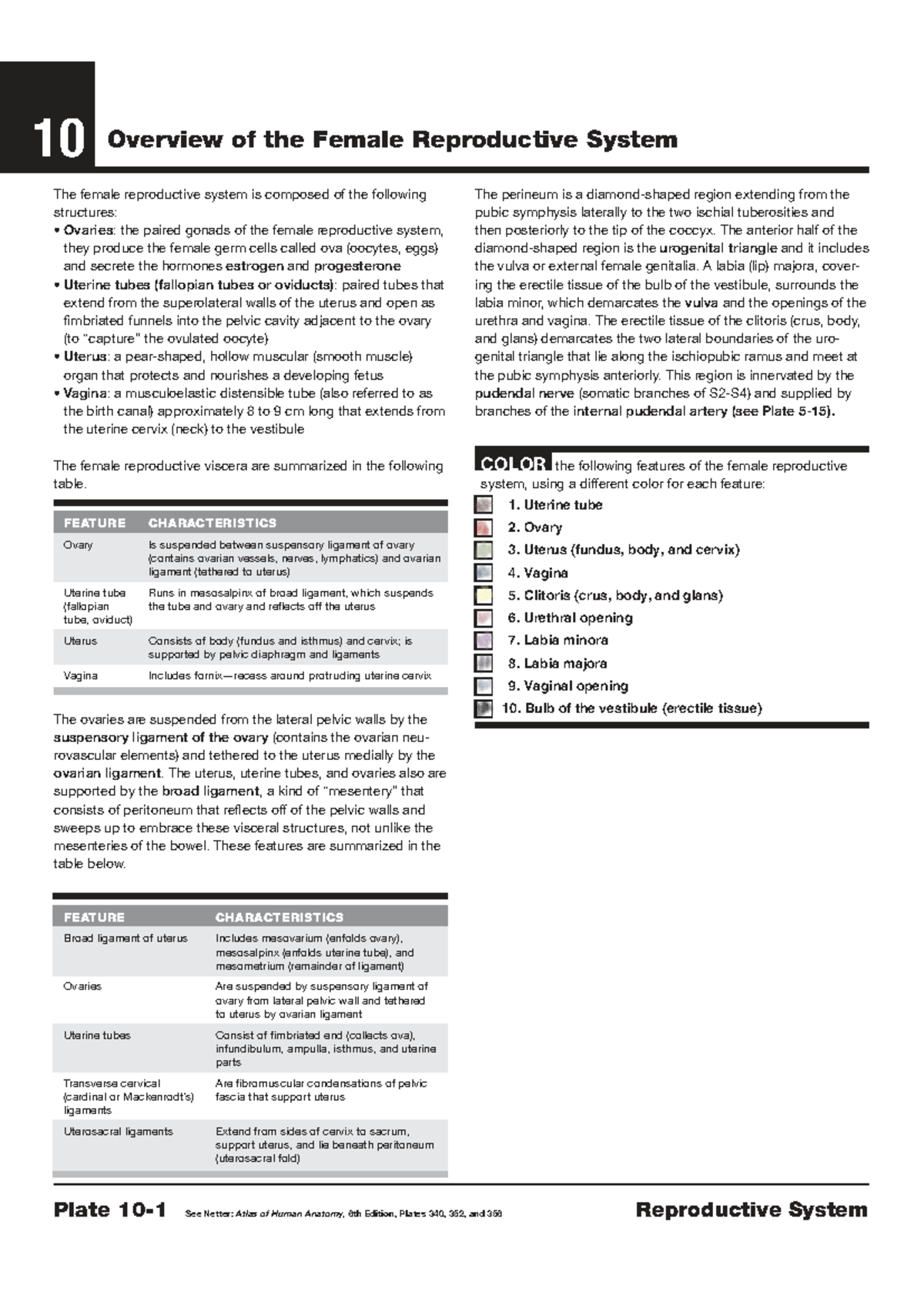 10 Overview of the Female Reproductive System: Key Structures and ...