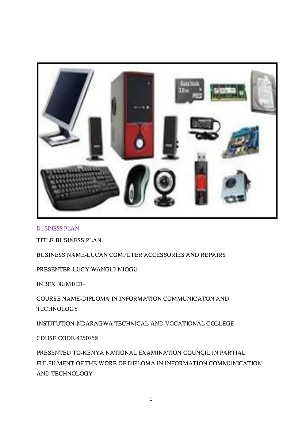 LUCY Njogu - Business Plan for Lucan Computer Accessories (4250758 ...