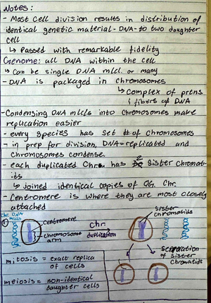 Beet membrane lab report- Paula Luna - Beet Membrane Lab Report ...