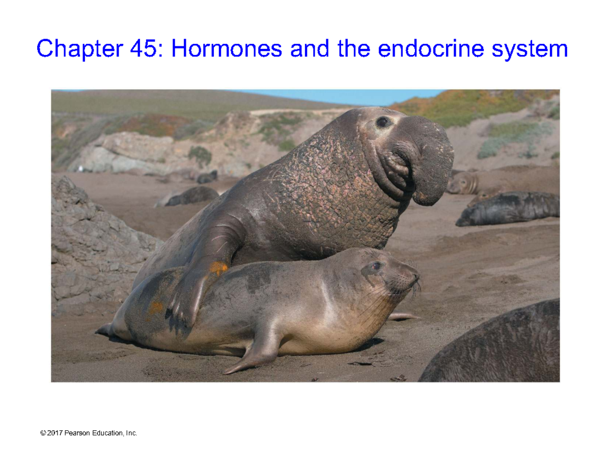 Chapter 45: Hormones and the Endocrine System Overview - Studocu