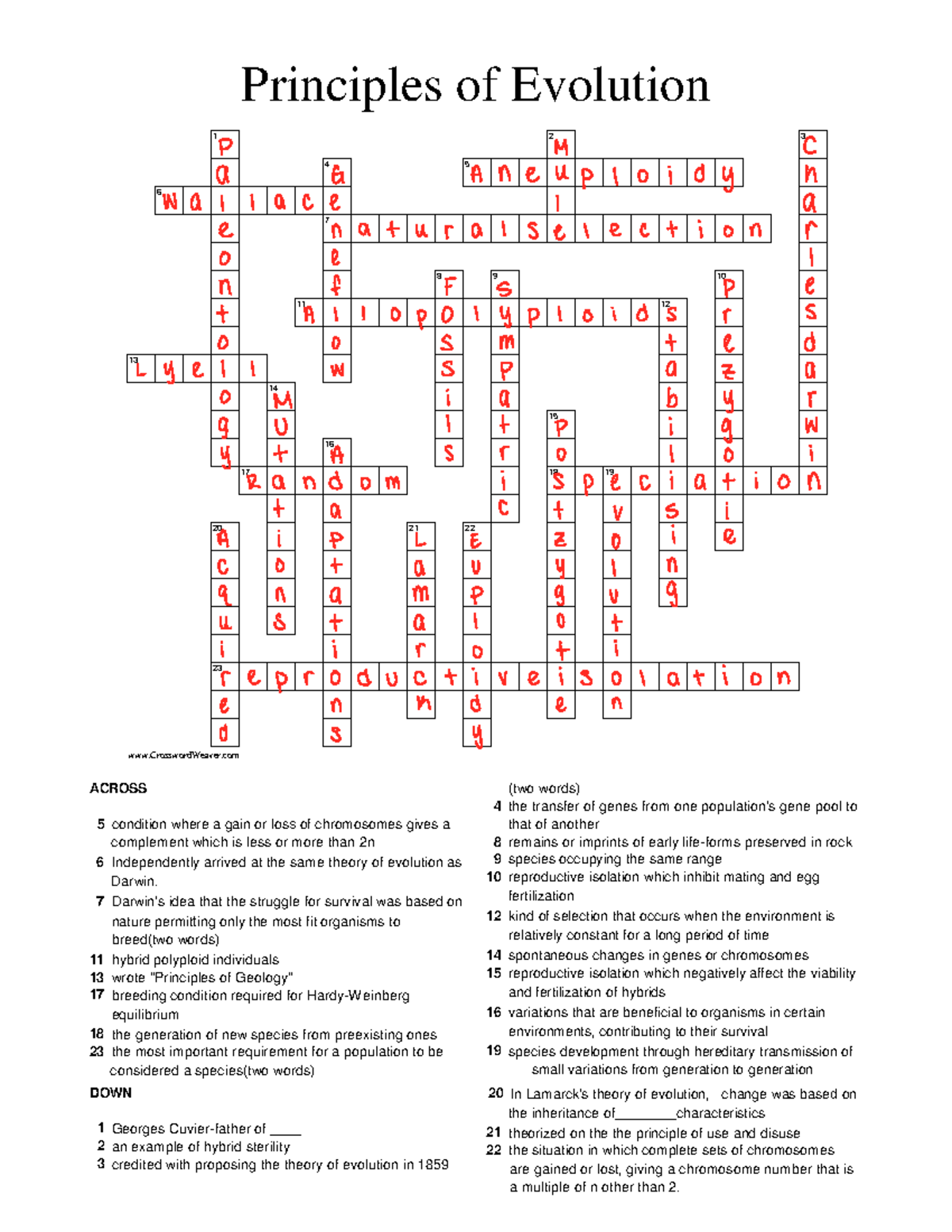 Principles of Evolution: Crossword Puzzle Review for BIO 102 - Studocu