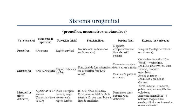 Sistema Urogenital: Pronefros, Mesonefros y Metanefros - Studocu