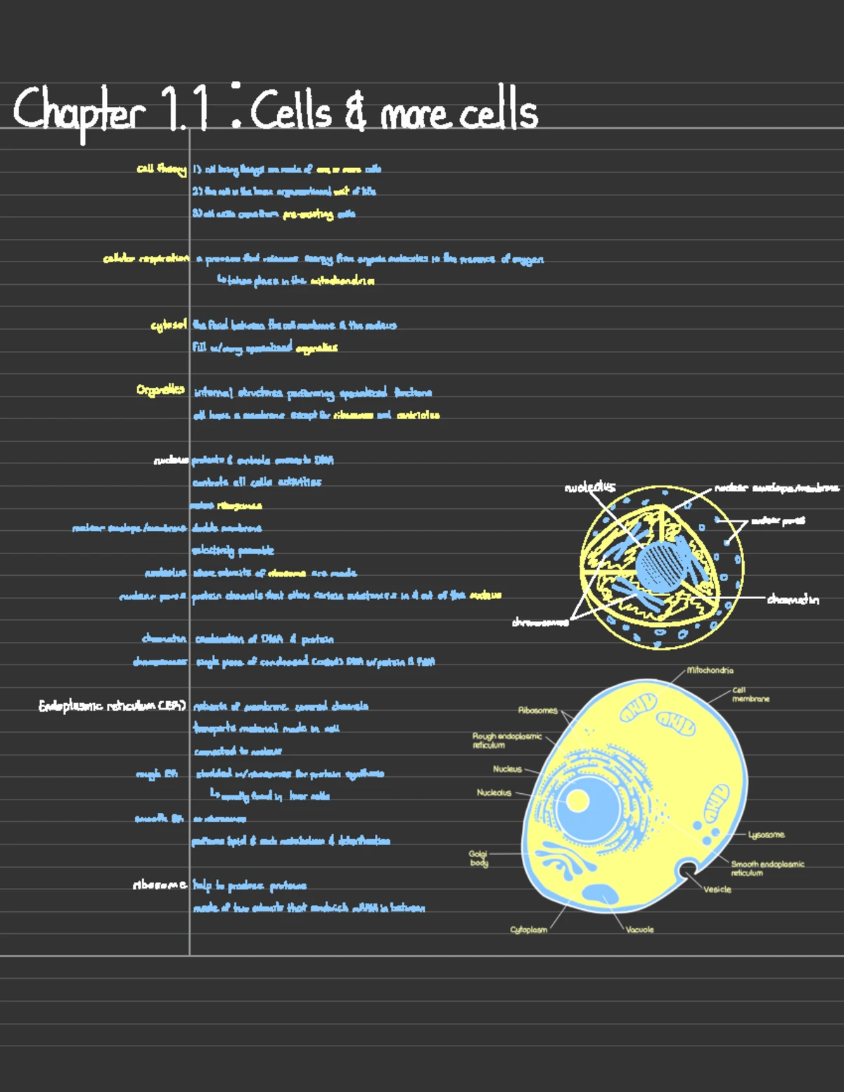 Grade 10 Science Notes (SNC2D) - Grade 10 Science SNC2DP 1 Table of ...