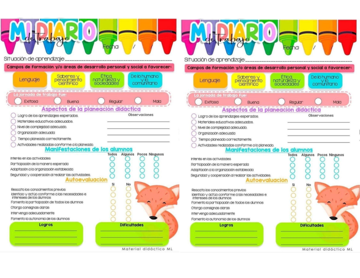 Diario de trabajo: Situación de aprendizaje y evaluación de logros ...