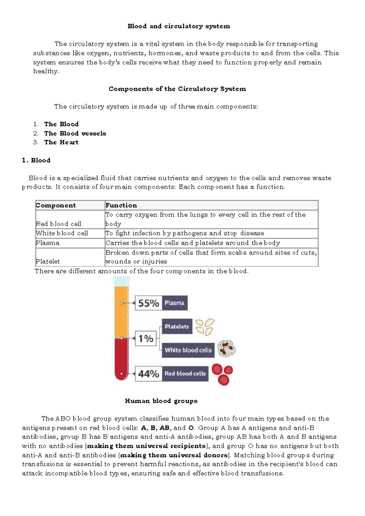 Understanding the Blood and Circulatory System: Components and ...