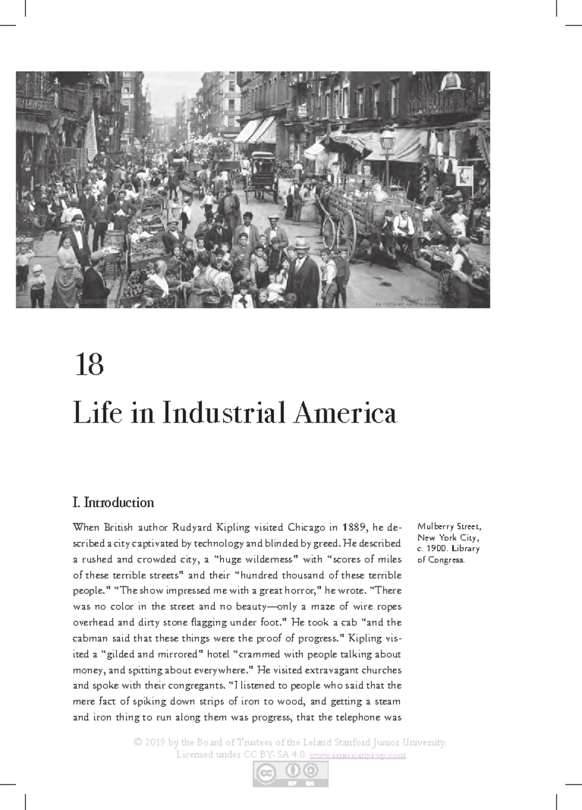 18 Life in Industrial America: Social Changes, Gender Roles, and Race ...