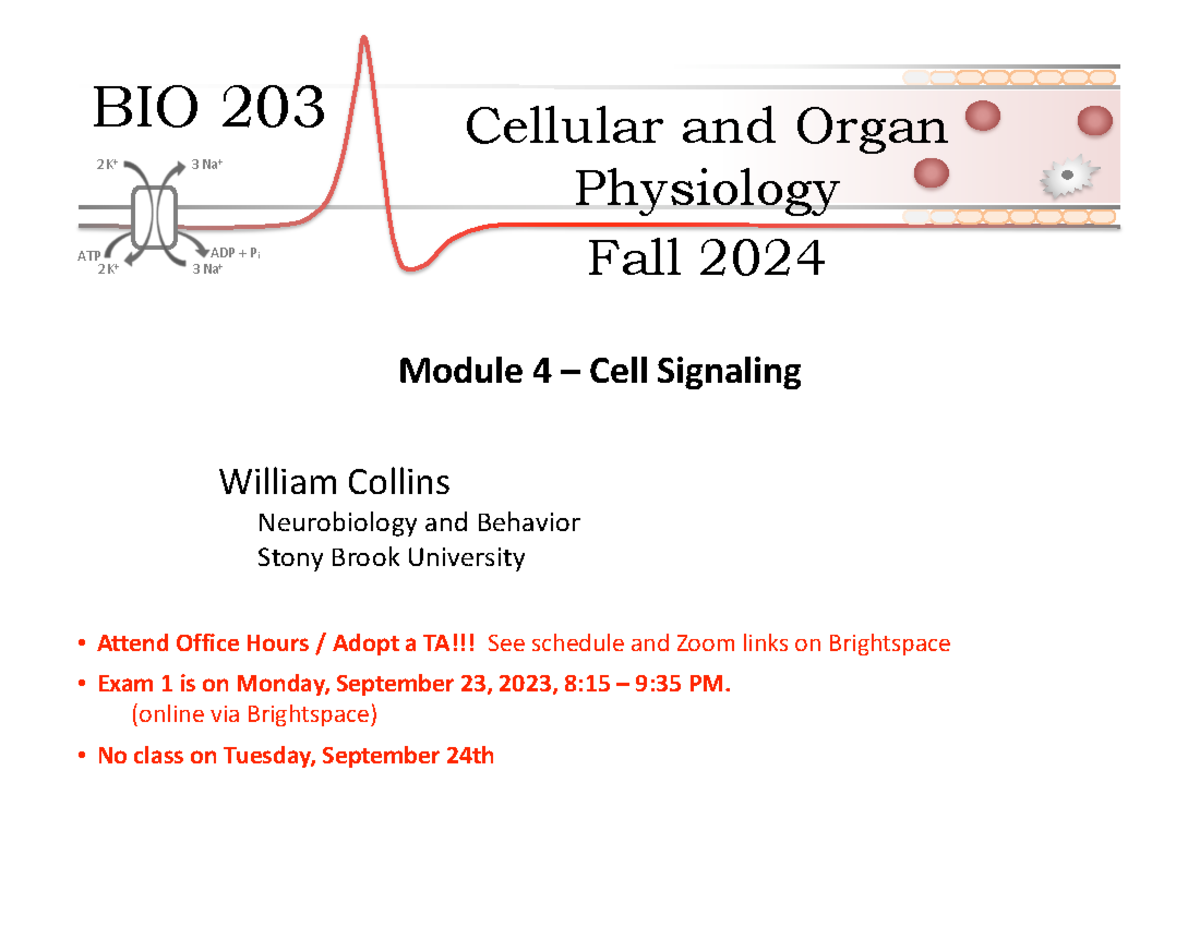 Module 4 - Cell Signaling (203 F24) POST-1 - 2 K+ 3 Na+ ATP ADP + Pi 2 ...