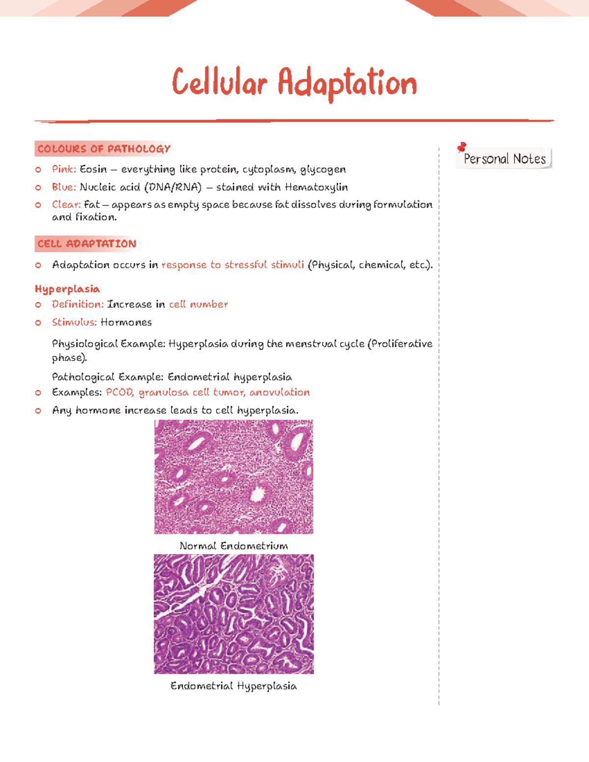 Pathology RR - Medical Notes for Rapid Revision COLOURS OF PATHOLOGY ...