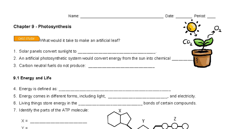 Biology 1: Chapter 9 Photosynthesis Overview and Key Concepts - Studocu