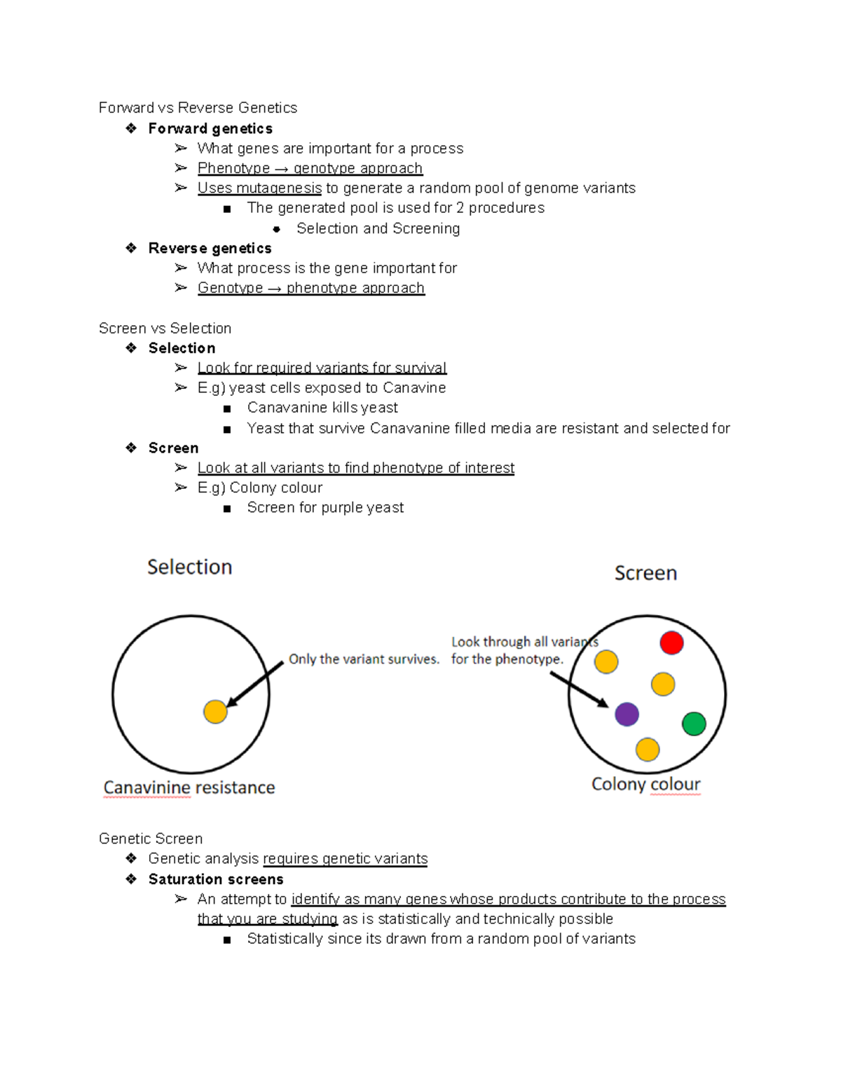 Week 7.1 - Key Concepts in Forward Genetics and Screening Techniques ...