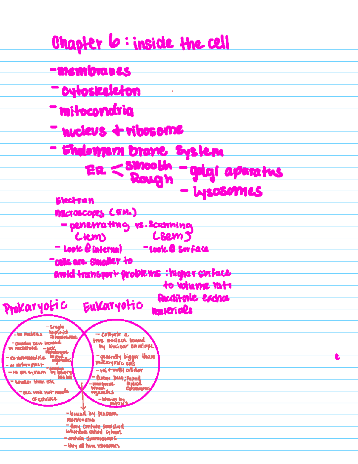 Cellular Structures and Functions: Chapter 6 Overview (Bio 101) - Studocu
