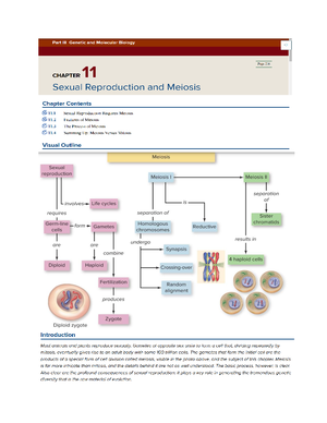 [Solved] why is it important that meiosis produces cells with half the ...