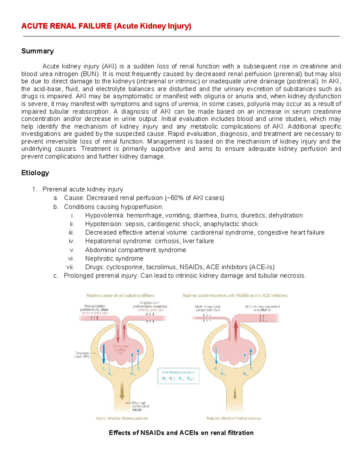 ACUTE RENAL FAILURE (AKI) Overview and Management Notes - Studocu