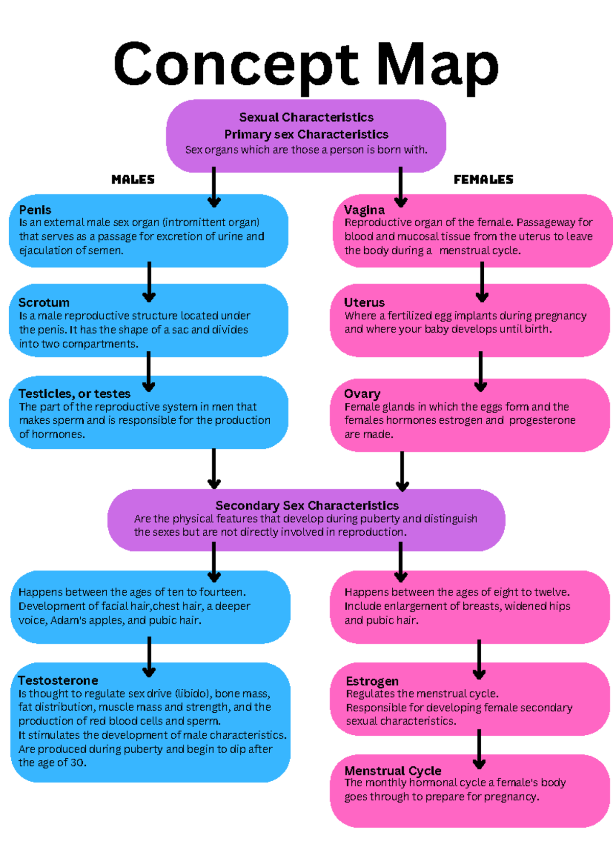 Concept Map: Primary & Secondary Sex Characteristics - Studocu