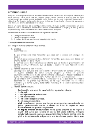 Región Maseterina - topográfico - REGIÓN MASETERINA Situada en la parte ...
