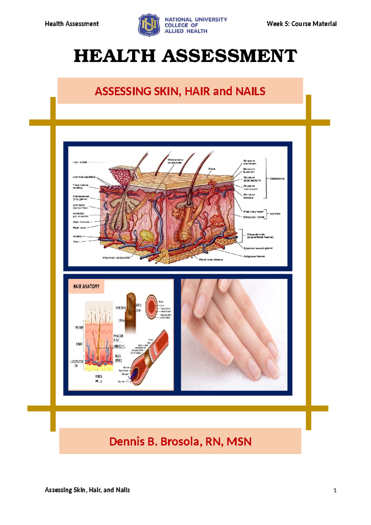 Week 5 Lecture Notes on Skin, Hair, and Nail Assessment ADOC - Studocu