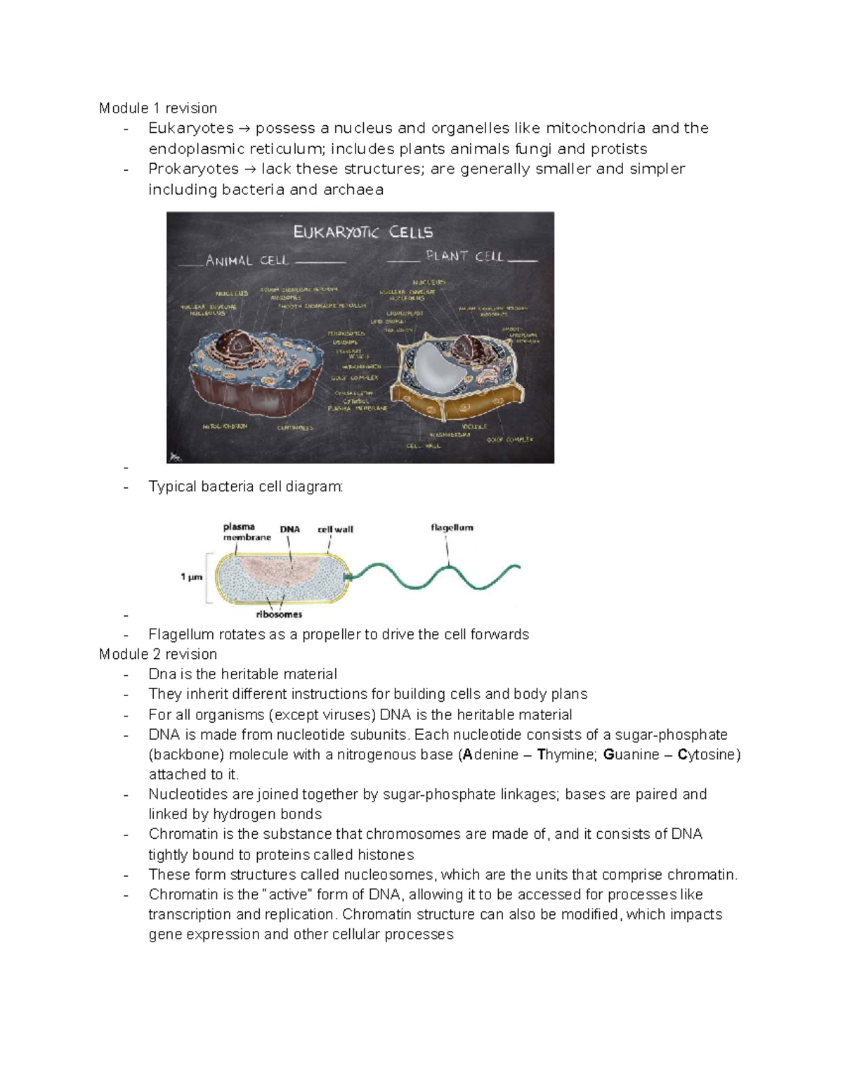 Revision Notes for Biology Modules: Eukaryotes, DNA, and Cell Functions ...