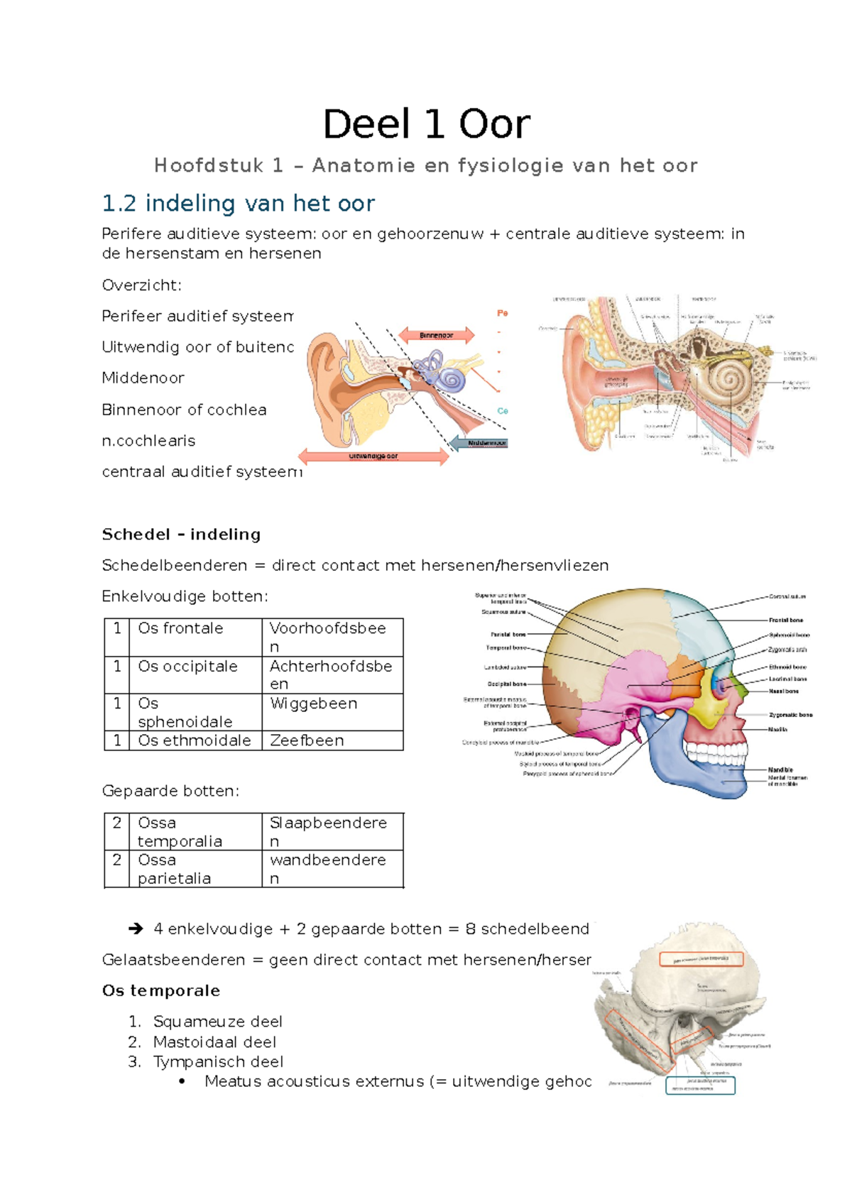 Samenvatting Deel 1 Oor: Anatomie en Fysiologie van Buiten- en ...